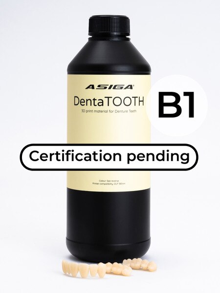 DentaTooth Shade: B1 1kg bottle