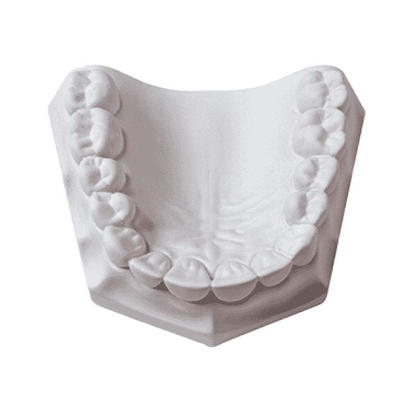 Lab Plaster Fast Set 50lb,Garreco