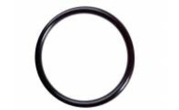 #5516 O-Ring F/ VPM2 Block, Whipmix