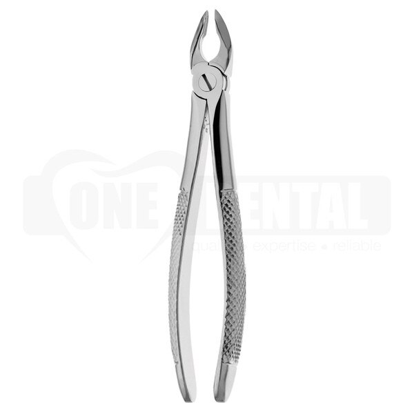 Extracting Forcep Upper IncisorCUSPID ADULT