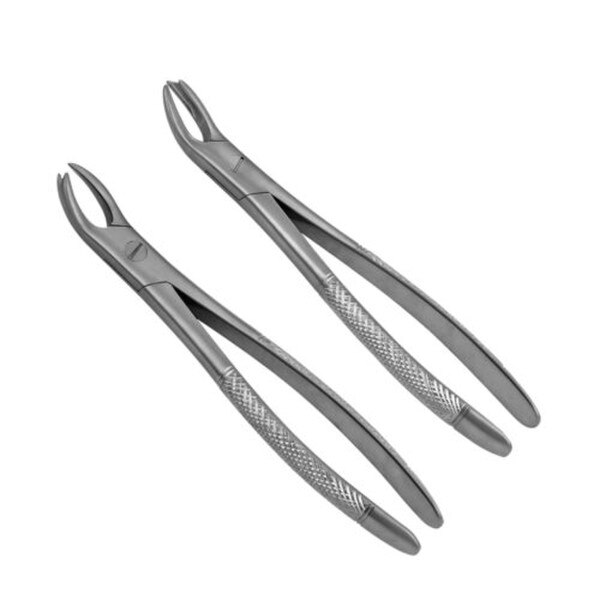 Extracting Forcep 1st & 2nd Upper Molars, Right