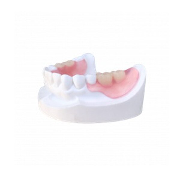 Sample Model tcsÂ® Unbreakable Partial, Lower