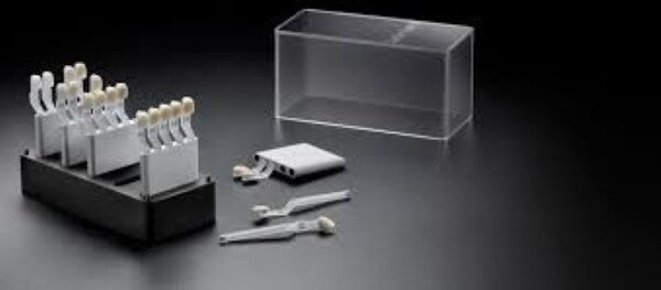 My Shade Guide, Personalized shade tabs, Smileline