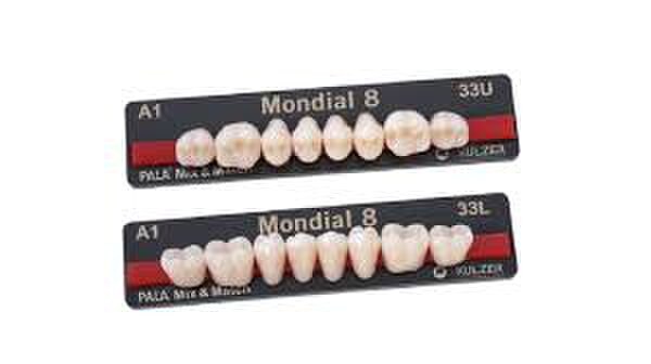 Mondial I Posterior 1x8, Heraeus