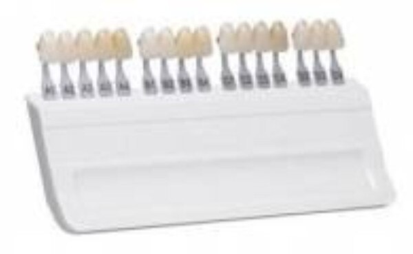 Perfect Match Shade Guide, ADS