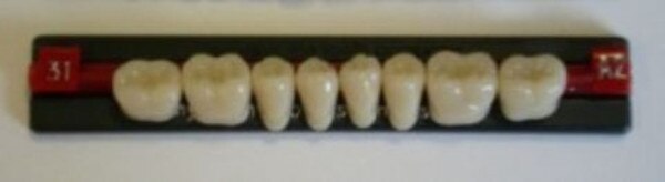 Kenson Resin 0 Degree Posterior Teeth