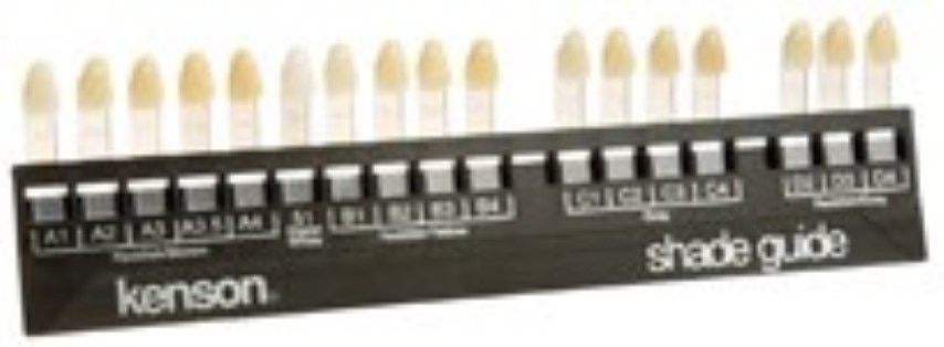 Kenson Shade Guide Myerson Shade vita shades