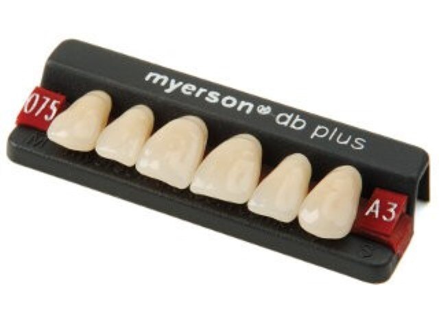 Myerson DB Plus Anteriors, Teeth