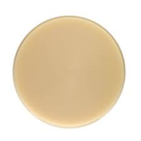 Sagemax PMMA Disc Multi A2 W98-20mm